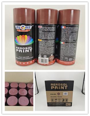 China Non Toxic Aerosol Fast Drying Spray Paint For Metal Surfaces for sale