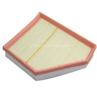 China BMW X Series Air Filter OEM 13721736675 294x232x39mm for sale