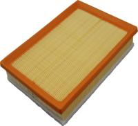 China Opell Air Filter 290x206x51mm HEPA for Omega Zafira for sale