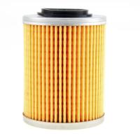 China OEM Quality Oil Filter Model 0800-011300 for ATV/UTV with Dry Pattern for sale