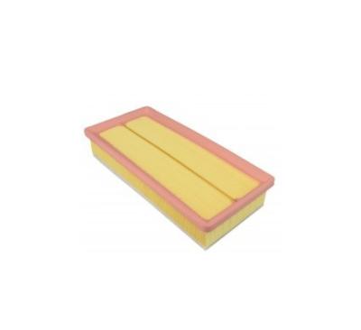 China Free Sample Air Filter C38130 for Peugeot/Citroen 1444.QW 1444 QX 1444.EQ for sale