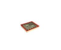 China 30.031.00 Reference NO. Air Filter for Buick/GM 5495254 C2452-2 9072249 90411732 55560894 for sale