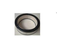 China Top Performance BUICK/GM A1518C 4861737AA A348C A1135C Car Air Filter for ESCALADE for sale