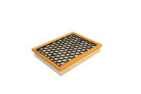 China FIAT 51874053 46783544 C33189 55183307 Car Air Filter with PU Filter Paper Material for sale