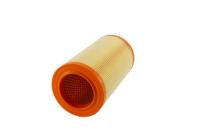 China FIAT 51874053 46783544 C33189 55183307 Car Air Filter with PU Filter Paper Material for sale