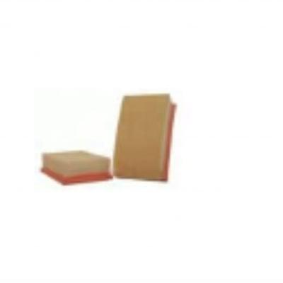 China Air Filter Replacement for RE-NAULT C3377 7701032111 7701032117 7701037111 C2282 7701040285 for sale