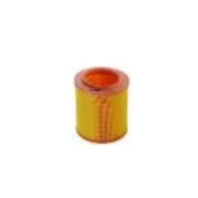 China RE-NAULT C1145/4 7701039857 7701043709 C18121 7700957336 7701033713 C16113 7701034705 Air Filter Replacement for sale