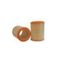 China RE-NAULT C1145/4 7701039857 7701043709 C18121 7700957336 7701033713 C16113 7701034705 Air Filter Replacement for sale