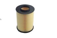 China Air Filter Replacement Compatible with Ford ED81-9601-AA 7M51-9601-FA 1L2Z-9601AA ZM93-96010-AC for sale