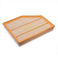 China Peu Geot Citroen Air Filters Vehicle Automobile Filters for Assurance 2 IATF16949 for sale