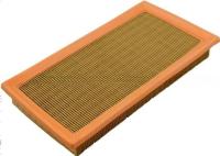 China Performance Auto Air Filters for Ford and Environmental for sale