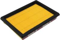 China Original or Customization Customized Request Automobile Air Filters for Nissan for sale
