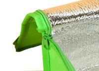 China Milk Green Cooler Tote Bag Thermal Insulated Dry Aluminum Food Delivery for sale