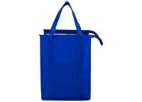China 120gsm Insulated Tote Cooler Bag Personalized Cooler Tote Nonwoven for sale