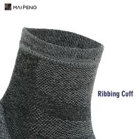 China Cushioned Terry Merino Wool Thick Socks Men's Business Dress Socks For Winter for sale