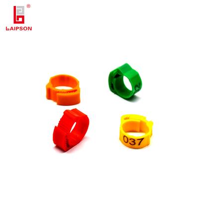 China Chicken Foot Ring Easy To Identify Poultry Equipment For Poultry for sale