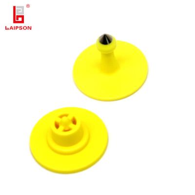 China Plastic TPU Custom Colorful Rabbit Hare Ear Tag Livestock Marking Tag For Farm for sale