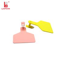 China Top TPU Single Nontoxic Medium Single Z-Type Dairy Bovine Buffalo Calf Ear Tag For Farm for sale