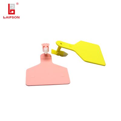 China Top TPU Single Nontoxic Medium Single Z-Type Dairy Bovine Buffalo Calf Ear Tag For Farm for sale