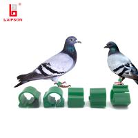 China RFID Animal Ear Tag plastic pigeon foot ring adjustable size with low drop rate and strict tests for animal identification for sale