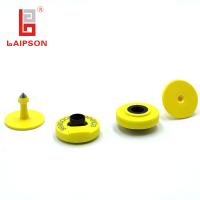 China 123.24 Khz Reuse Feedlot FDX-B RFID Animal Ear Tag for sale