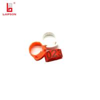 China Click On Chicken Foot Ring Easy To Identify Poultry Equipment Chicken Feet Rings for sale