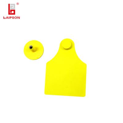 China BASF TPU Medium CMA Single Cattle Cow Buffalo Ear Tag 1 Piece 79mm For Livestock for sale