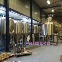 China PLC Control Professional Brewing Equipment 1000L Home Beer Brewing System for sale