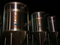 China Vertical Jacketed Fermentation Tank Bright Beer Conical Beer Fermenter 3000L for sale