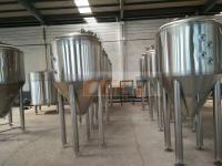 China 20 Bbl Fermenter Stainless Steel Tank Industrial Beer Brewing Equipment for sale