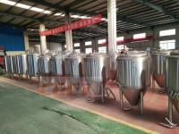 China 20 Bbl Fermenter Stainless Steel Tank Industrial Beer Brewing Equipment for sale