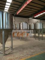 China 20 Bbl Fermenter Stainless Steel Tank Industrial Beer Brewing Equipment for sale