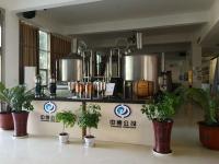 China SUS304 Craft Beer Brewing Equipment 20bbl With Carbonation Stone PLC Control for sale