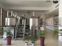 China SUS304 Craft Beer Brewing Equipment 20bbl With Carbonation Stone PLC Control for sale
