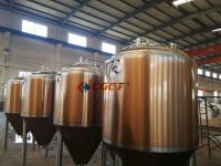 China SUS 304 Craft Beer Brewing Equipment 500L Brewing System With ISO CE Certificated for Rusina for sale