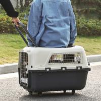 China Double Door Pet Travel Carrier with Wheels - Large Space Air Transport Box for Dogs and Cats for sale