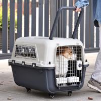 China Button Closure Portable Pet Carrier Bag - Large Capacity Square Plastic Cat Cage for Travel with Custom Logo Options for sale