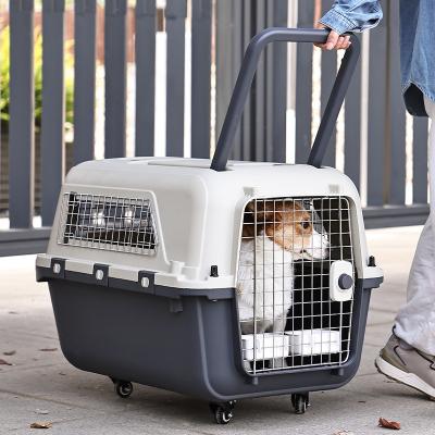China Button Closure Portable Pet Carrier Bag - Large Capacity Square Plastic Cat Cage for Travel with Custom Logo Options for sale
