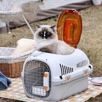 China Airline Approved Pet Transport Cage for Small/Medium Dogs & Cats - 4-Side Ventilation, PP+Metal Construction for sale