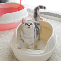 China High Side PP Plastic Cat Litter Box 150kg Capacity Anti-Splash Open Top Design with Integrated Shovel for sale