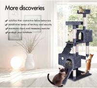China Luxury Natural Wood Cat Tree 170cm Tall with Sisal Rope for Large Cats - OEM/ODM Available for sale