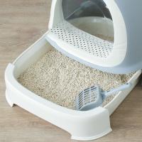 China Enclosed Cat Litter Box with Storage Compartment 6000 sq cm Area Odor-Proof Design for Easy Cleaning for sale