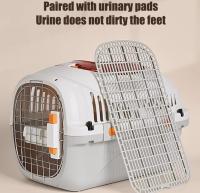 China PP Pet Travel Carrier Hard Surface Air Transport Box 40x30x25cm for Small Dogs and Cats with Ventilation for sale