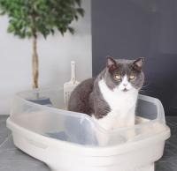 China Oversized Open Cat Litter Box 45x35cm with Anti-Splash Design and Included Litter Shovel - PP Plastic Pet Waste Management Solution for sale