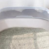 China Oversized Open Cat Litter Box 45x35cm with Anti-Splash Design and Included Litter Shovel - PP Plastic Pet Waste Management Solution for sale