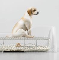 China Indoor Pet Training Toilet with 18cm Mesh Spacing - Custom Litter Box for Small Puppies and Dogs for sale