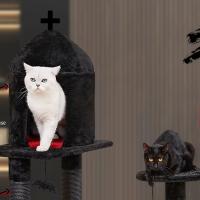 China Multi-Level Cat Tree with Spider Hanging Ball - Sisal & Wood Construction, 6000 sqm Facility, OEM/ODM Available for sale