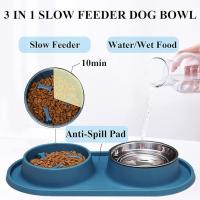 China Stainless Steel Double Bowl Pet Feeder with Non-Spill Silicone Pads and Slow Feed Design - 6000 sqm Facility for sale