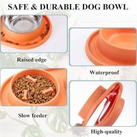 China Stainless Steel Double Bowl Pet Feeder with Non-Spill Silicone Pads and Slow Feed Design - 6000 sqm Facility for sale