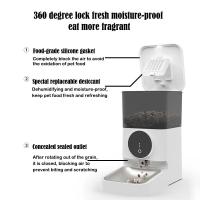 China 4L Automatic Cat Feeder with Timed Control and Lock Lid - Food Grade ABS Material and Stainless Steel Bowl for sale